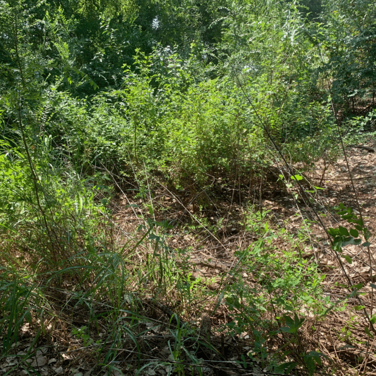Phase I & II ESAs - Oklahoma Environmental Services
